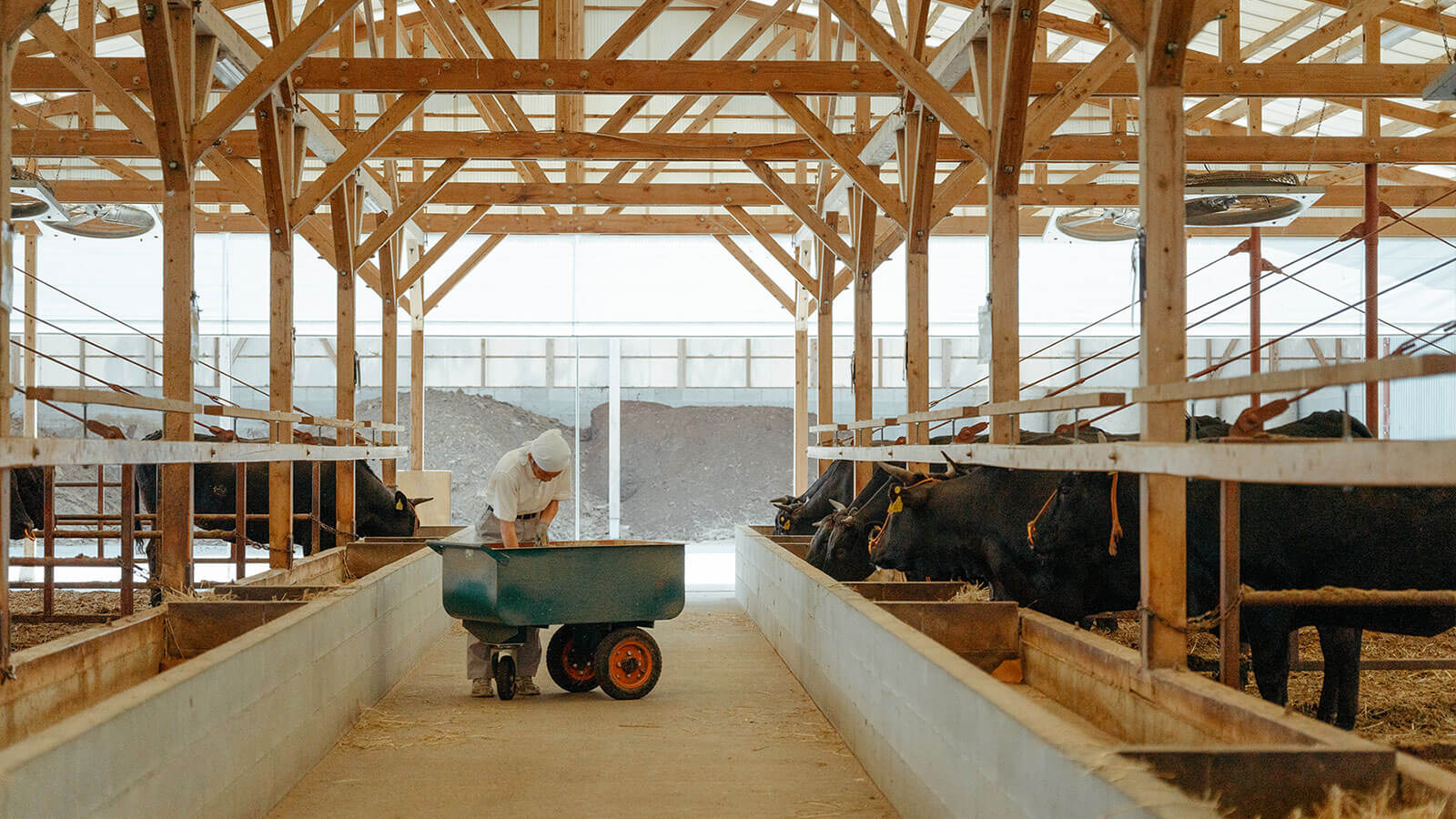 【Omi Beef Morishima Omihachiman Restaurant】A Long-Established ...