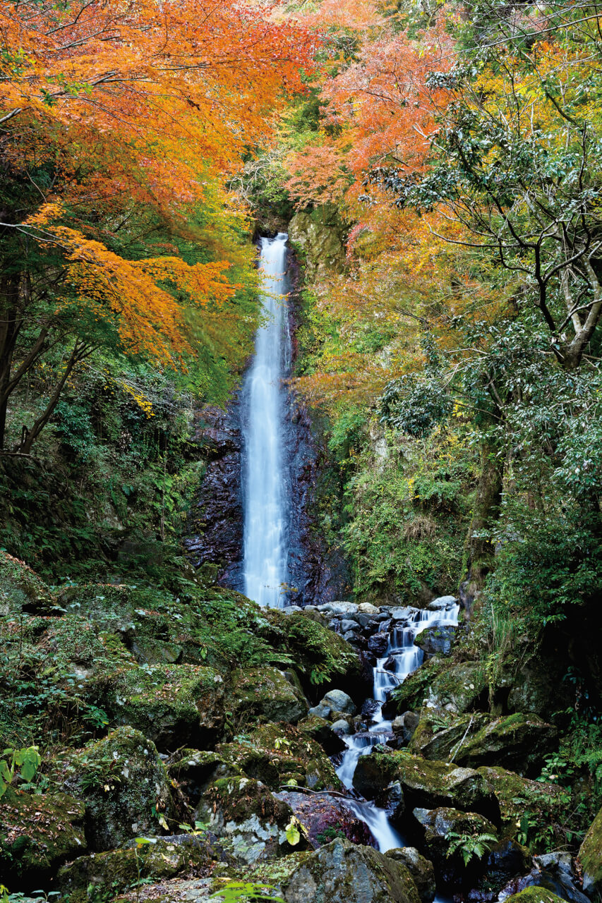 【Yoro Falls】A Beloved Landmark of Yoro Town | CHUBU-ROO!