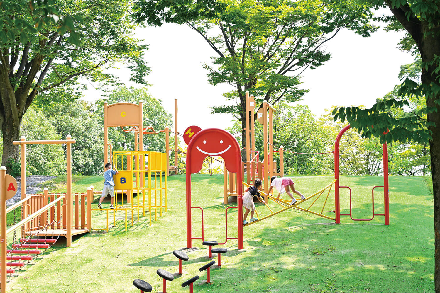 【Yoro Falls】A Beloved Landmark of Yoro Town | CHUBU-ROO!