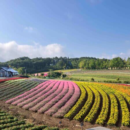 Meet Japan’s Largest Pool and Approximately 500 Species, 50,000 Marine ...