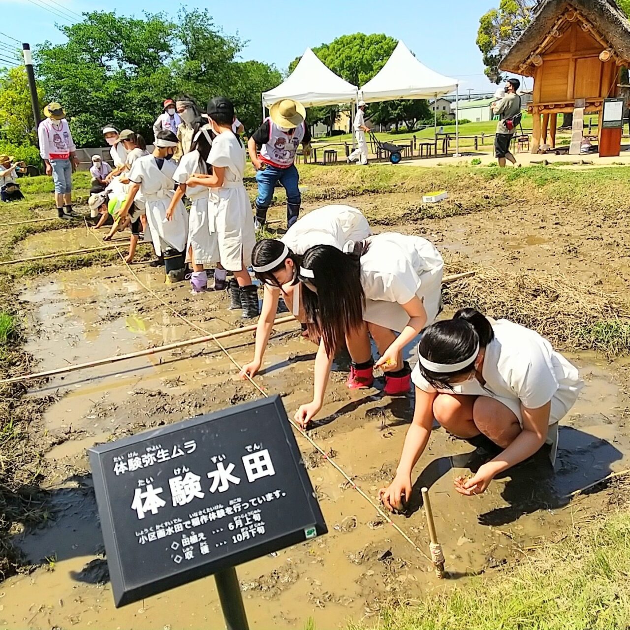【Aichi Asahi Archaeological Museum】 See, Touch, and Experience the ...