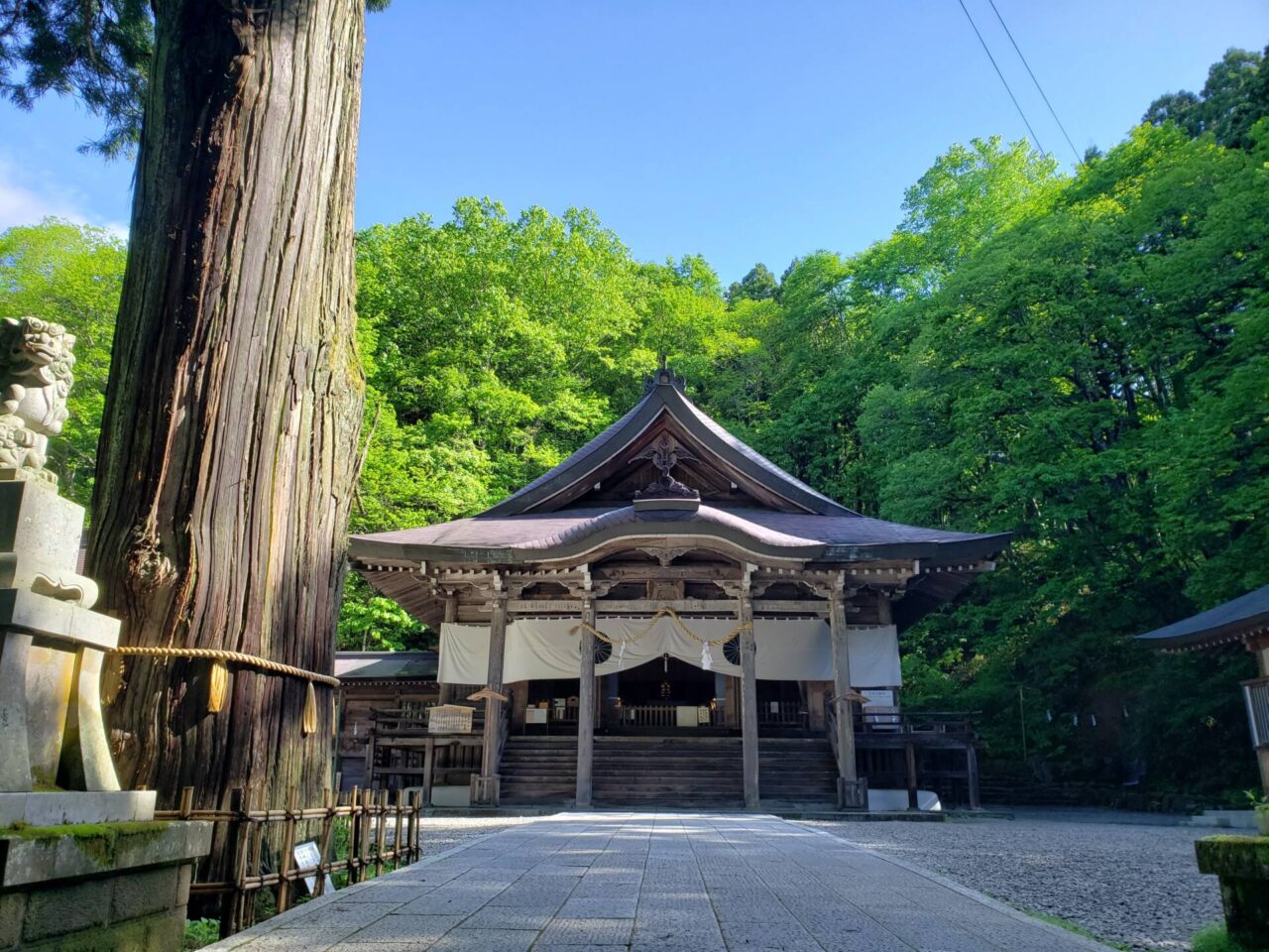 【戸隠神社】神話の舞台へ、杉並木の参道が導く五社の聖地 - CHUBU-ROO!