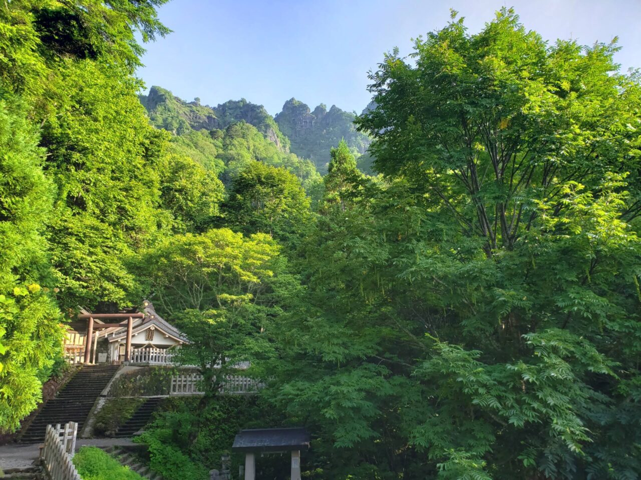 【戸隠神社】神話の舞台へ、杉並木の参道が導く五社の聖地 - CHUBU-ROO!